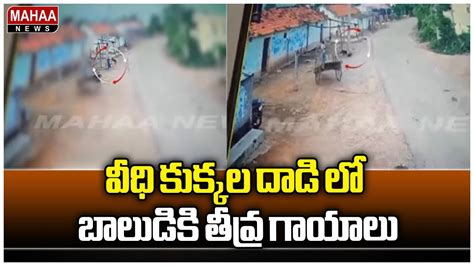 వీధి కుక్కల దాడి లో బాలుడికి తీవ్ర గాయాలు Mahaa News Youtube