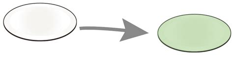 Tomo