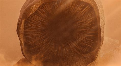 Czerw Pustyni Z Filmu Diuna Istnieje Naprawdę Tak I Jest Grzybem