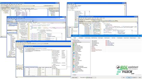 Softtree Sql Assistant 95444 Free Download Filecr