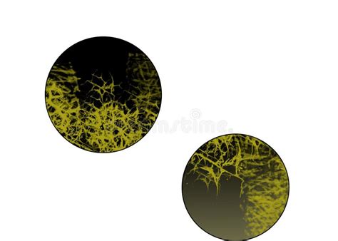 Round Button Circle Simple Illustration Stock Illustration Illustration Of Circle Element