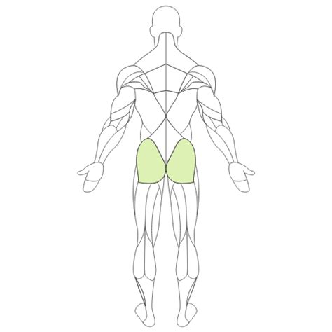 Side Lying Hip Abduction Video Guide Tips And Variations