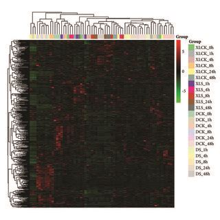 Heatmap Hierarchical Clustering Of Detected Metabolite Pools