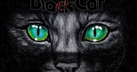 Patart Lucio Fulci S THE BLACK CAT
