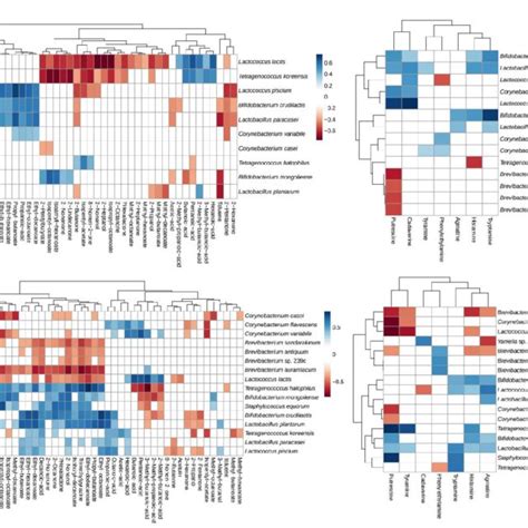 Spearman Correlation Between Abundance Of Metabolites And Bacterial