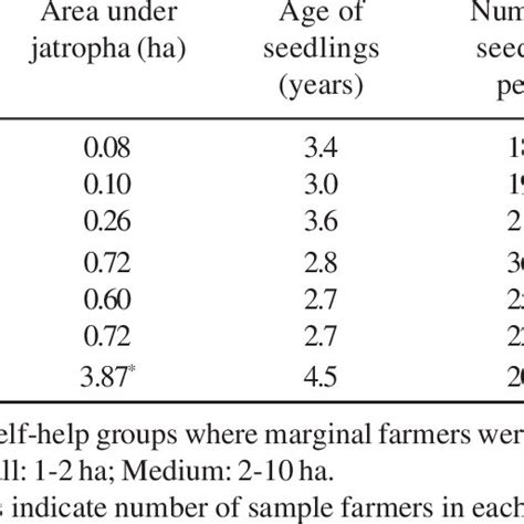 A Typical Jatropha Based Biodiesel Value Chain Schematic Download