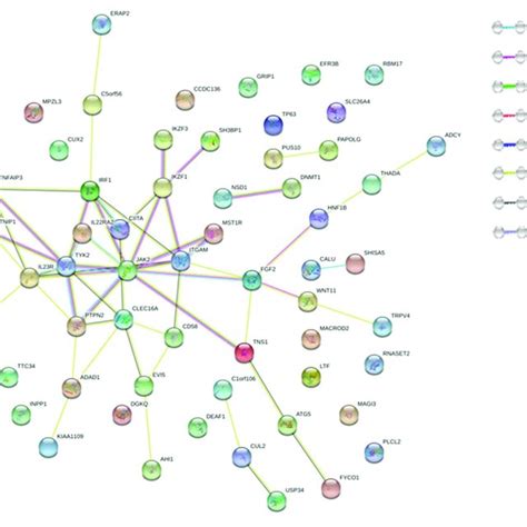 The Features Of 67 Significant Pleiotropic Genes Download Scientific