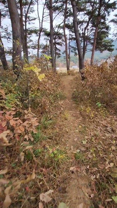 답답한 도심을 떠나 산과 들판이 있는 외암민속마을에서 자연힐링 산책 Youtube
