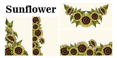 해바라기 배경입니다 스케치 스타일의 꽃과 나뭇잎 검은 씨앗 노란 꽃잎 빈티지 장식 인사 및 초대장 오일 포장 카드 배너 또는 포스터 손으로 그렸습니다 벡터 그림 0명에 대한