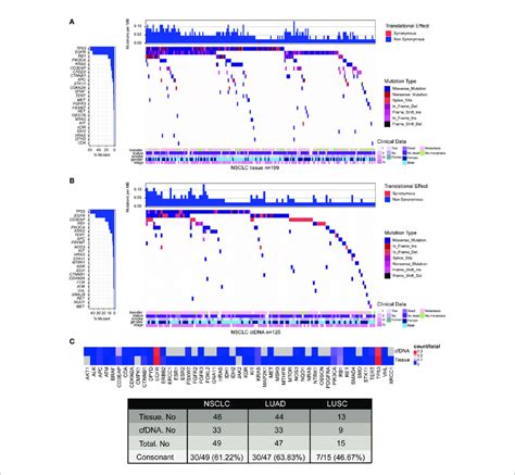 Tumor Mutation Landscape Of Nsclc Derived From Tumor Tissue Dna N