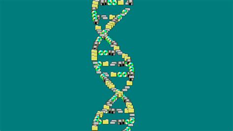 Could We Store Our Data In Dna