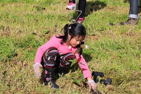 Getting Dirty For The Trees Cranbourne Star News