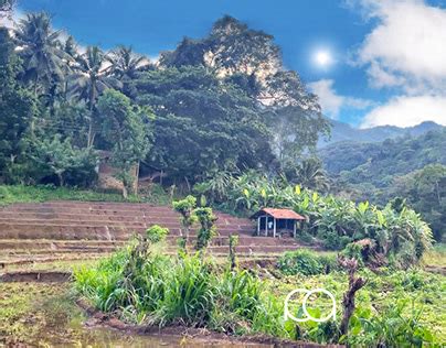 Sri Lankan Culture Projects Photos Videos Logos Illustrations And Branding On Behance