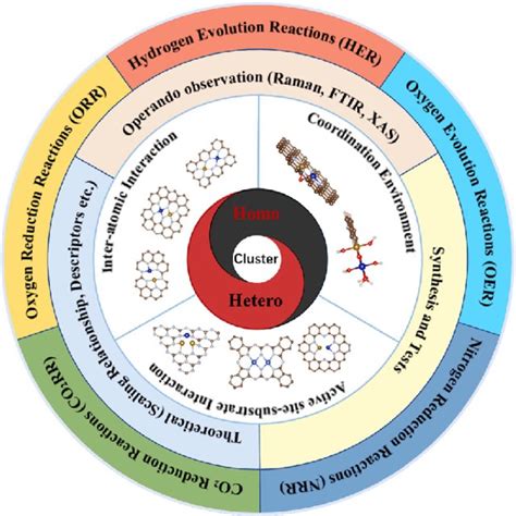 Schematic View Of Topics Covered In The Review For The Advancement Of