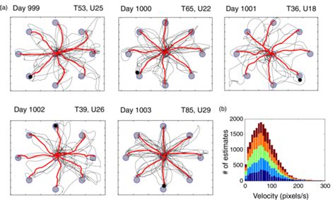 neural cursor kinematics for trials in the radial 8 task on five
