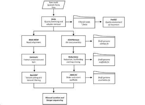 Flow Chart Of Variant Calling Combining Reads Mapping And De Novo