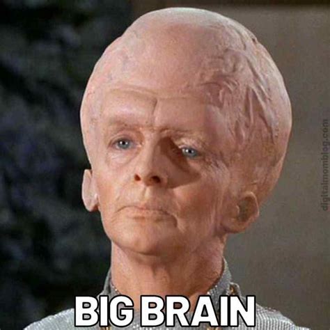 20 Funny Big Brain Memes And S For Genius Smarty Pants Brain Meme