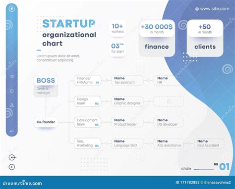 Starup Structure Of The Company Business Hierarchy Startup Organogram