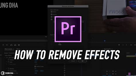 How To Remove Effects In Premiere Pro 2 Minute Tutorial Chung Dha