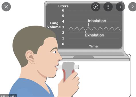Pulmonary Assessment 2 Flashcards Quizlet