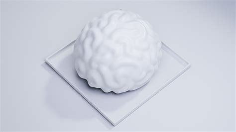 Stylized Human Brain Project File Blender 3d Turbosquid 2306008
