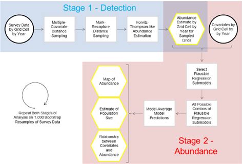 A Schematic Of The Workflow For Both Stages Of The Statistical