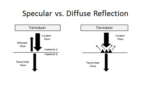 Lecture 4 Attenuation Flashcards Quizlet