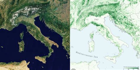 Esas New Maps Provide Global View Of Above Ground Biomass Distribution