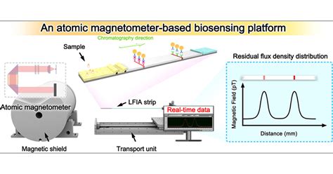 Highly Sensitive And Quantitative Magnetic Nanoparticle Based Lateral