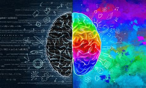 Creative Right Vs Logical Left Fact Or Myth Jim Kwik