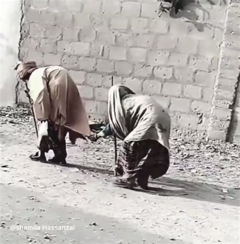 سلیمان گر شوی آخیر نصیب مور میگردی درین دنیای بی حاصل چرا‌مغرور