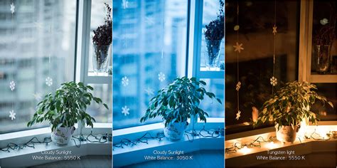What Is White Balance In Photography
