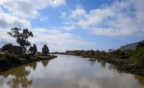 Preocupación Por Altos Niveles De Contaminación En El Estero El Sauce