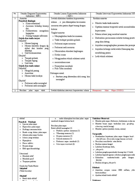 Askep Sdki Siki Pdf
