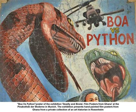 How To Tell Boa Vs Python Librarymolqy
