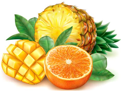 Pineapple Mango Orange Vector Free Download