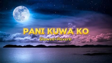 Pani Kuwa Ko Slowedreverblofi Viralsongs Lofimusic Youtube