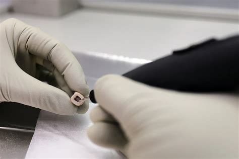 New Insights Into The Evolution Of The Plague Pathogen Ikmb