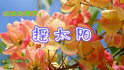 摇太阳 流淌的歌声。演唱：杨钰莹 Youtube