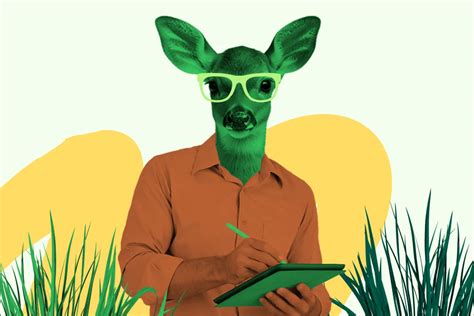 About Dots Eco