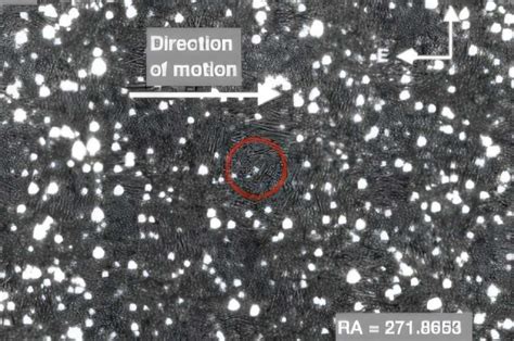 scientific paper particulars what s recognized concerning the third