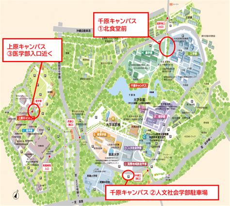 令和5年度 琉球大学卒業式・大学院修了式について 琉球大学