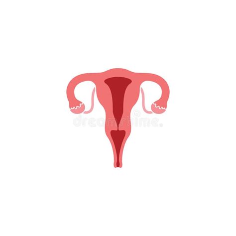 Female Reproduction System Illustration Drawing Engraving Ink Line