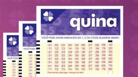Quina acumula e prêmio chega a R 12 5 milhões veja resultado as