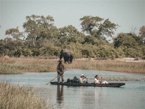 Okavango Mokoro Canoe Safari Elitevoyage