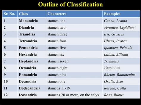 Artificial Classification System Caroluslinneaus 200413113450pdf