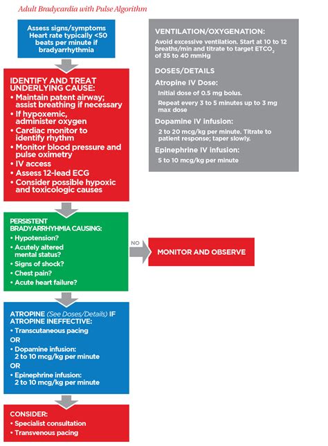 Adult Bradycardia With Pulse Management Algorithm Acls Handbook