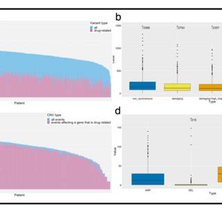 Filtering Shows Distinct Effects On The SNV CNV Selection A Barplot