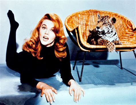 Photos Of Ann Margret During The Filming Of Kitten With A Whip” 1964