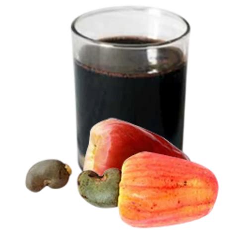 Cashew Nut Shell Liquid 1 Litre Cashew Nut Shell Liquid From Sirsa